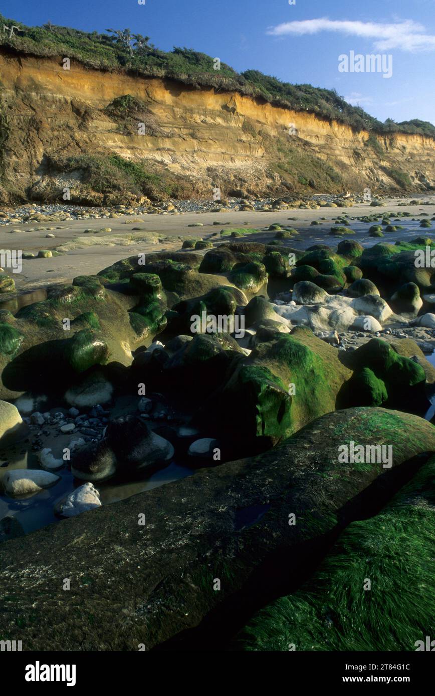 Nearshore outcrop with coastal cliff, Ona Beach State Park, Oregon ...