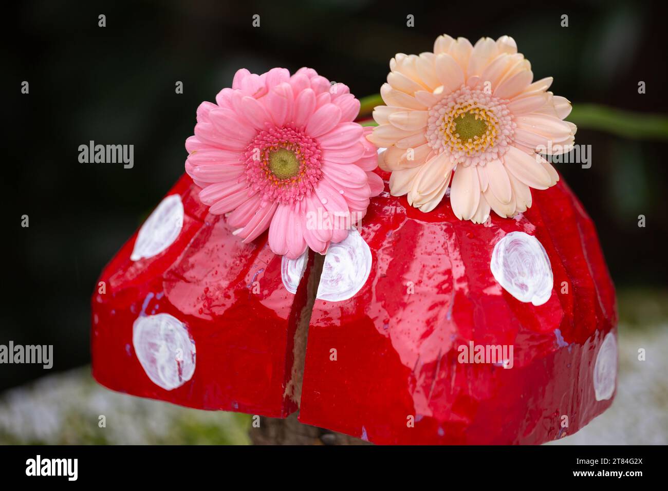 Carvved mushroom hi-res stock photography and images - Alamy