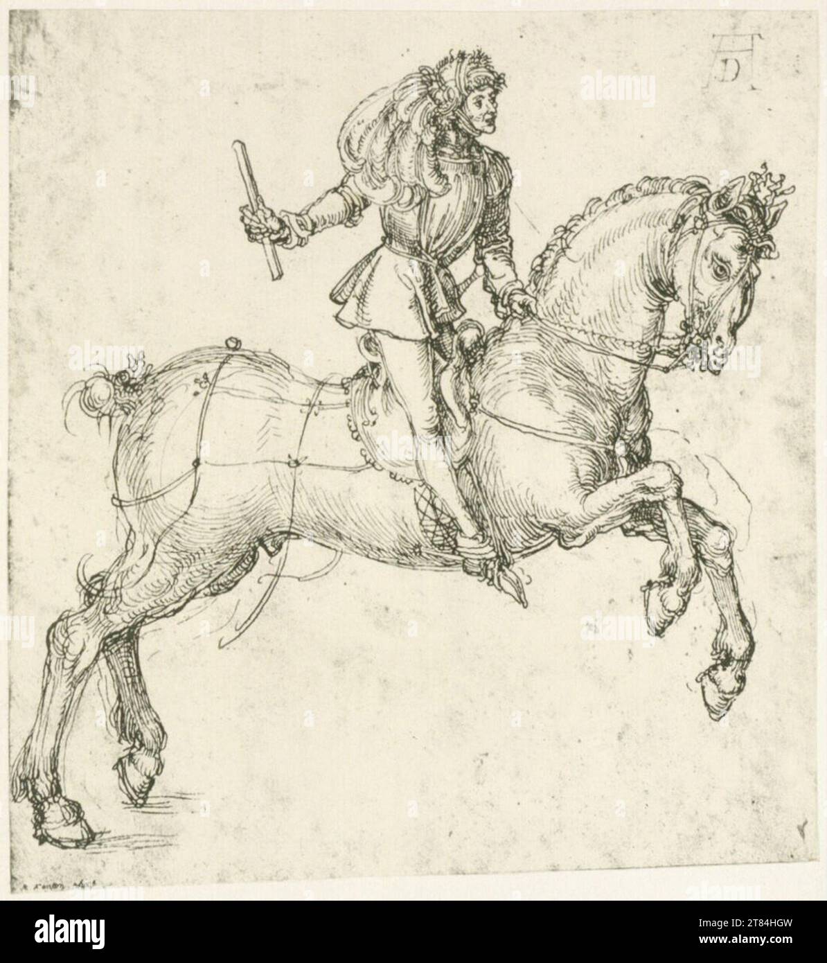 Paul Pretsch Rider study by Albrecht Dürer. Fotogal vanography (high ...