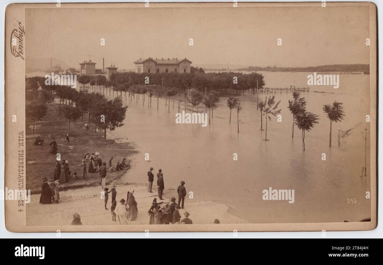 Victor Angerer Vienna, flood of the Danube on the Reichsbrücke. Albumin ...