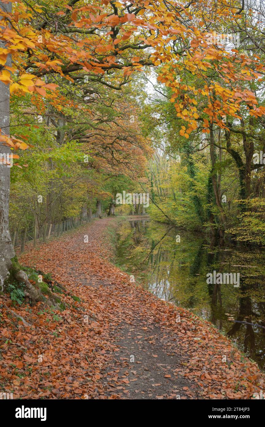Usk valley llangynidr canal hi-res stock photography and images - Alamy