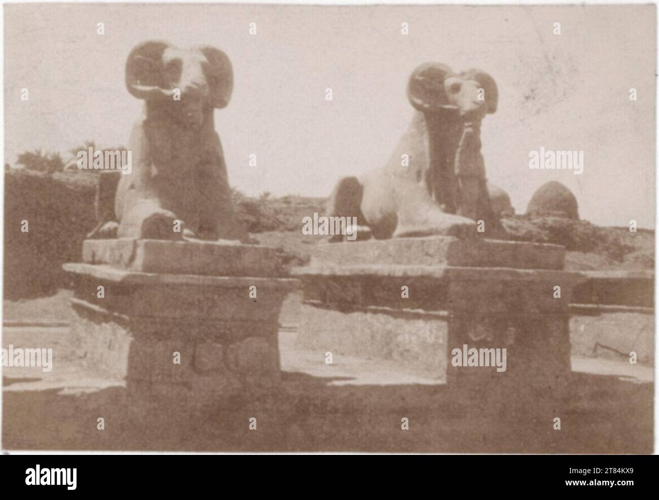 Johann Victor Krämer Artists' templates. Albuminpapier 1898-1900 , 1898 ...