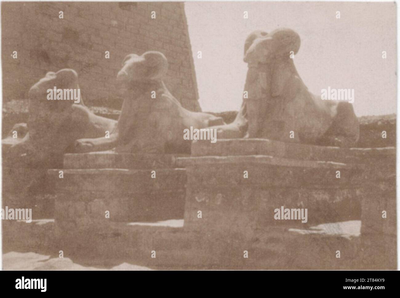 Johann Victor Krämer Artists' templates. Albuminpapier 1898-1900 , 1898 ...