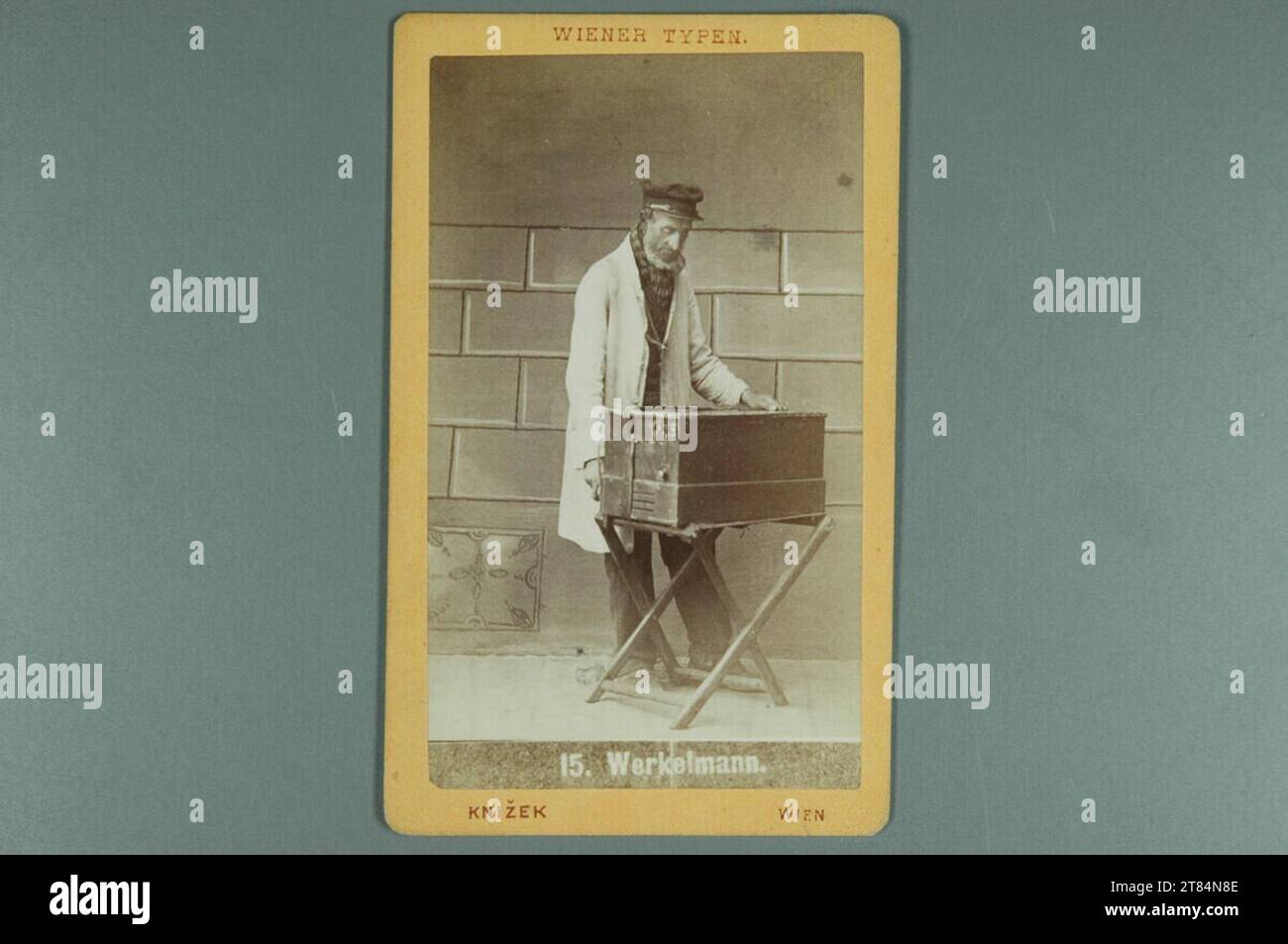 Leopold Bachrich Wiener types: Werkelmann. Albumin paper, on publishing ...