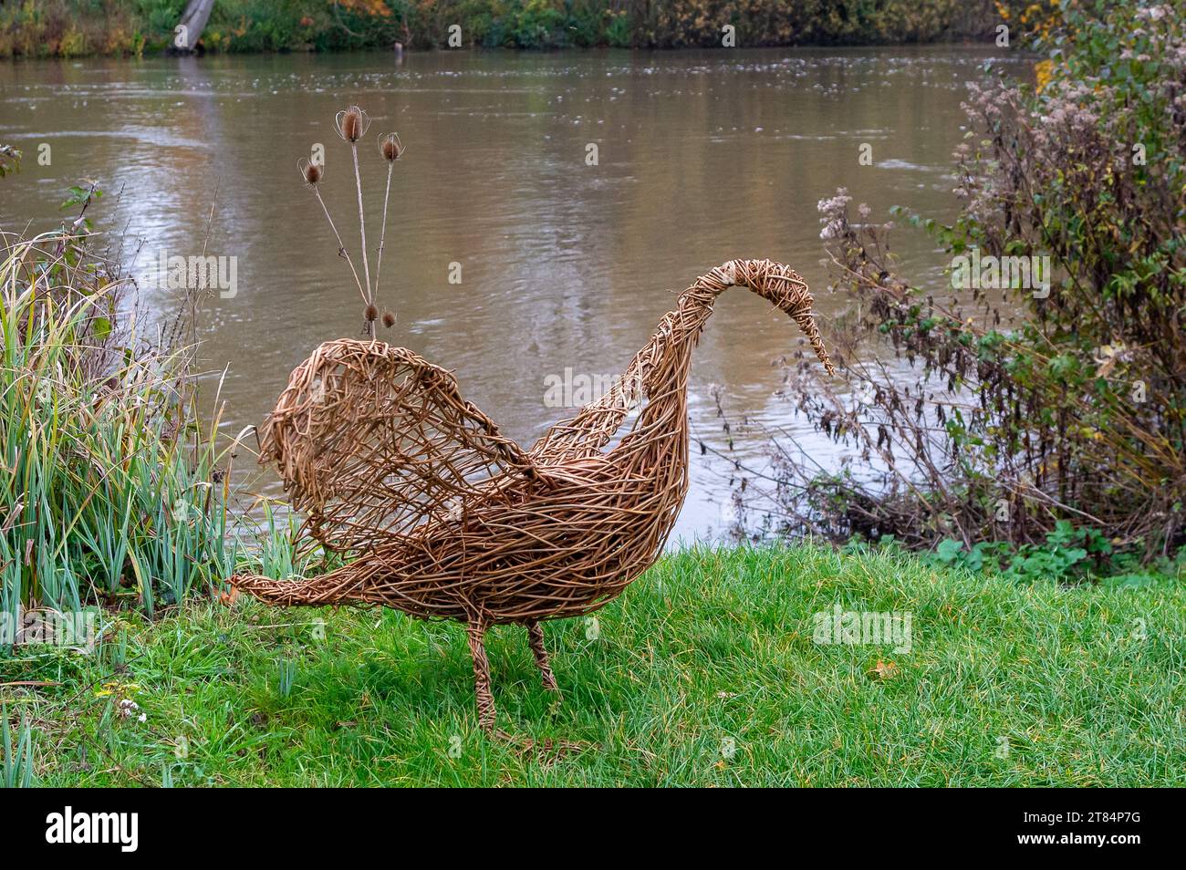 Willow makers hi-res stock photography and images - Alamy