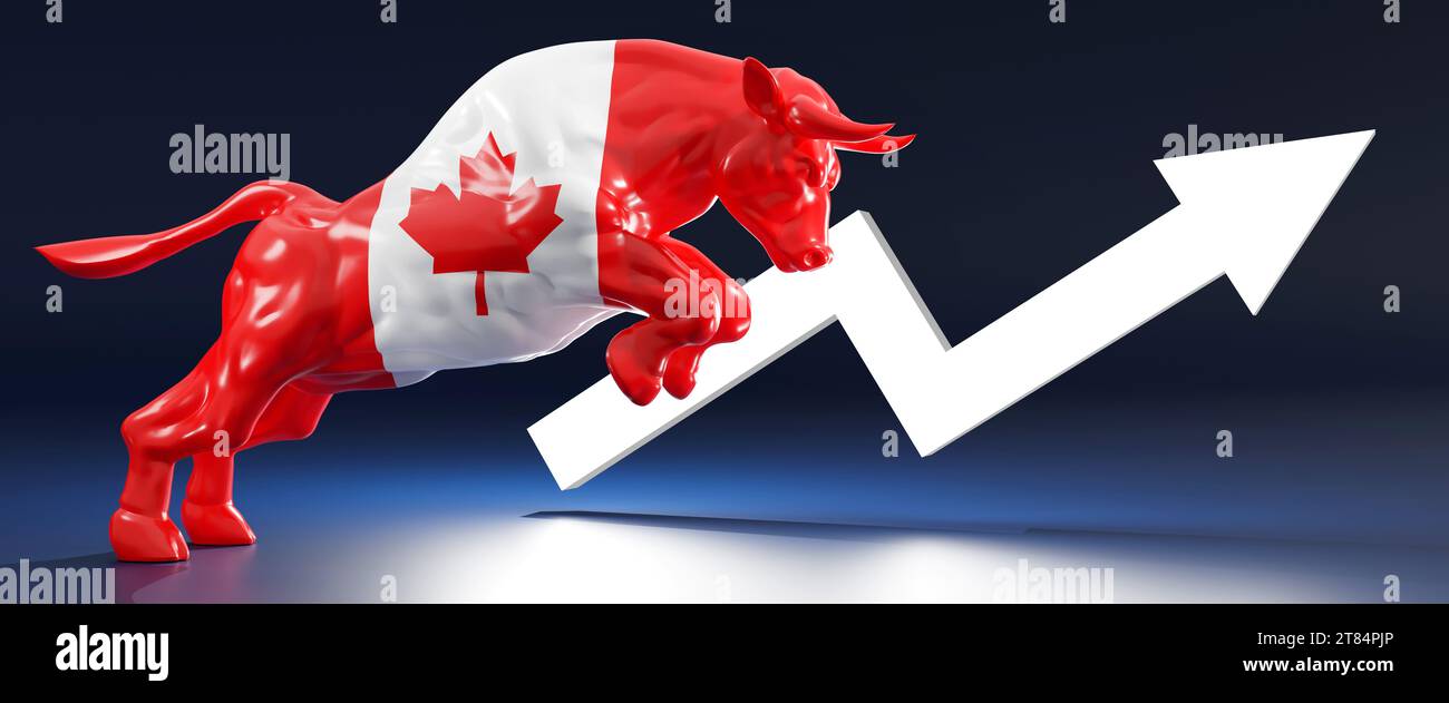 Horizontal banner of a bull with Canada flag on plain empty grey ...