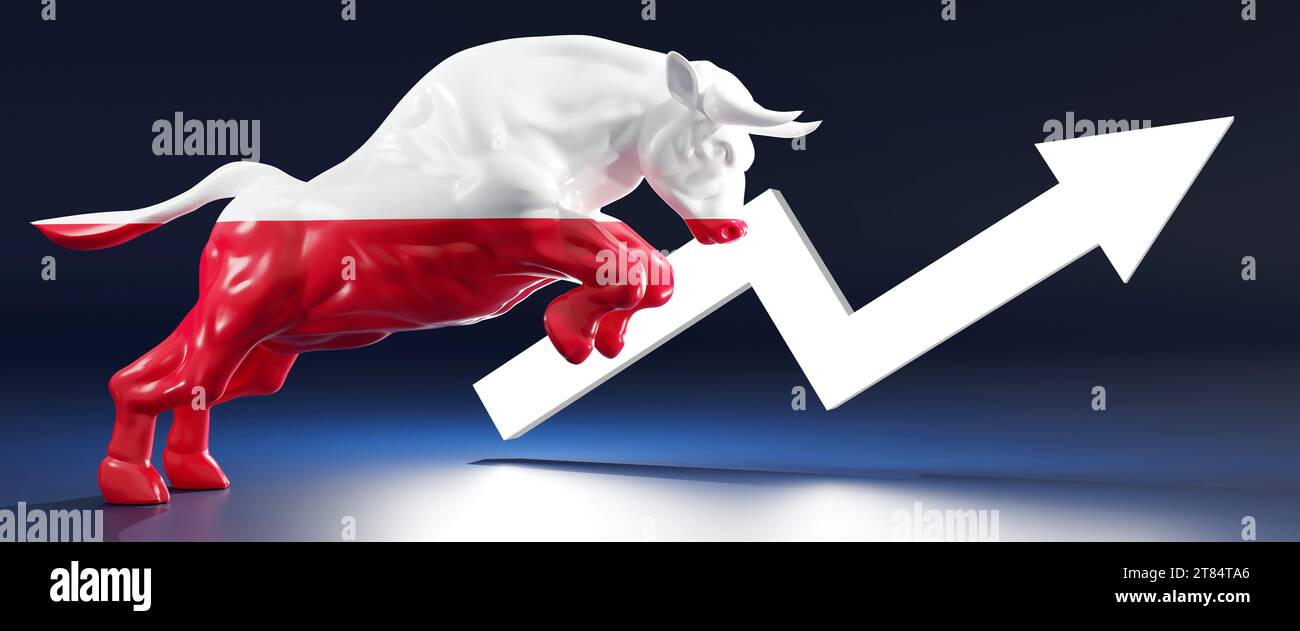 Horizontal banner of a bull with Poland flag on plain empty grey ...