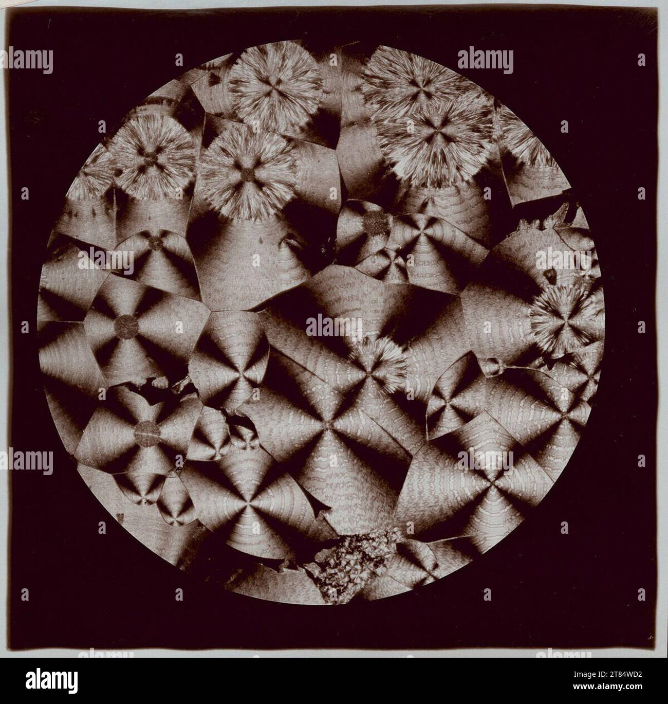 Hippuric acid hi-res stock photography and images - Alamy