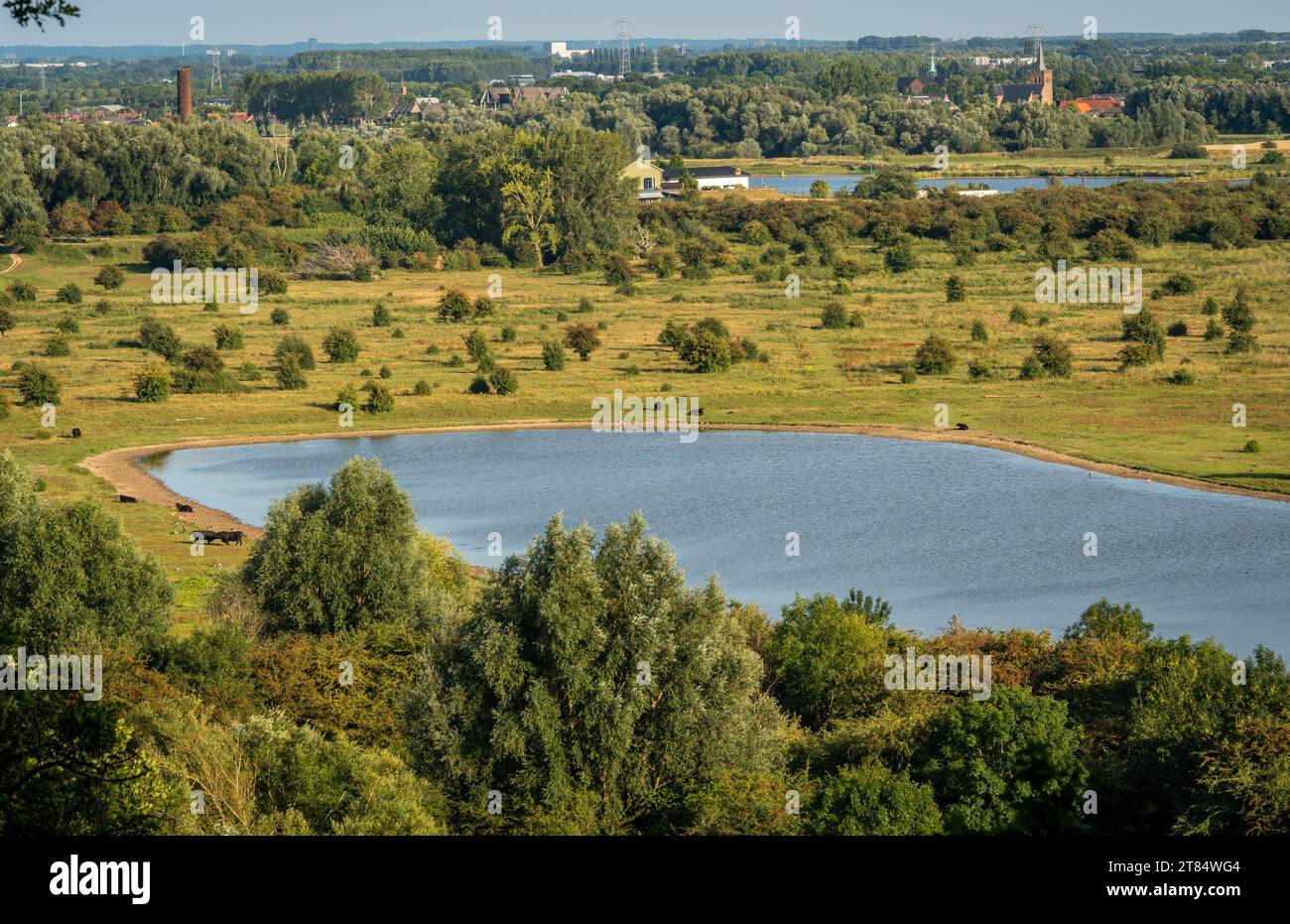 Blauwe kamer hi-res stock photography and images - Alamy
