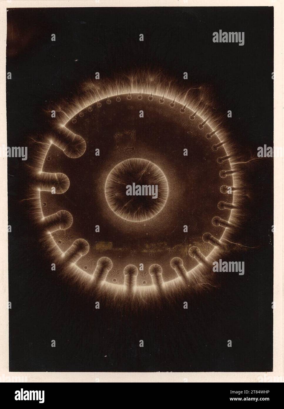 Hermann Schnauss Electrography of a brass wire. Matt collo dweller, on ...
