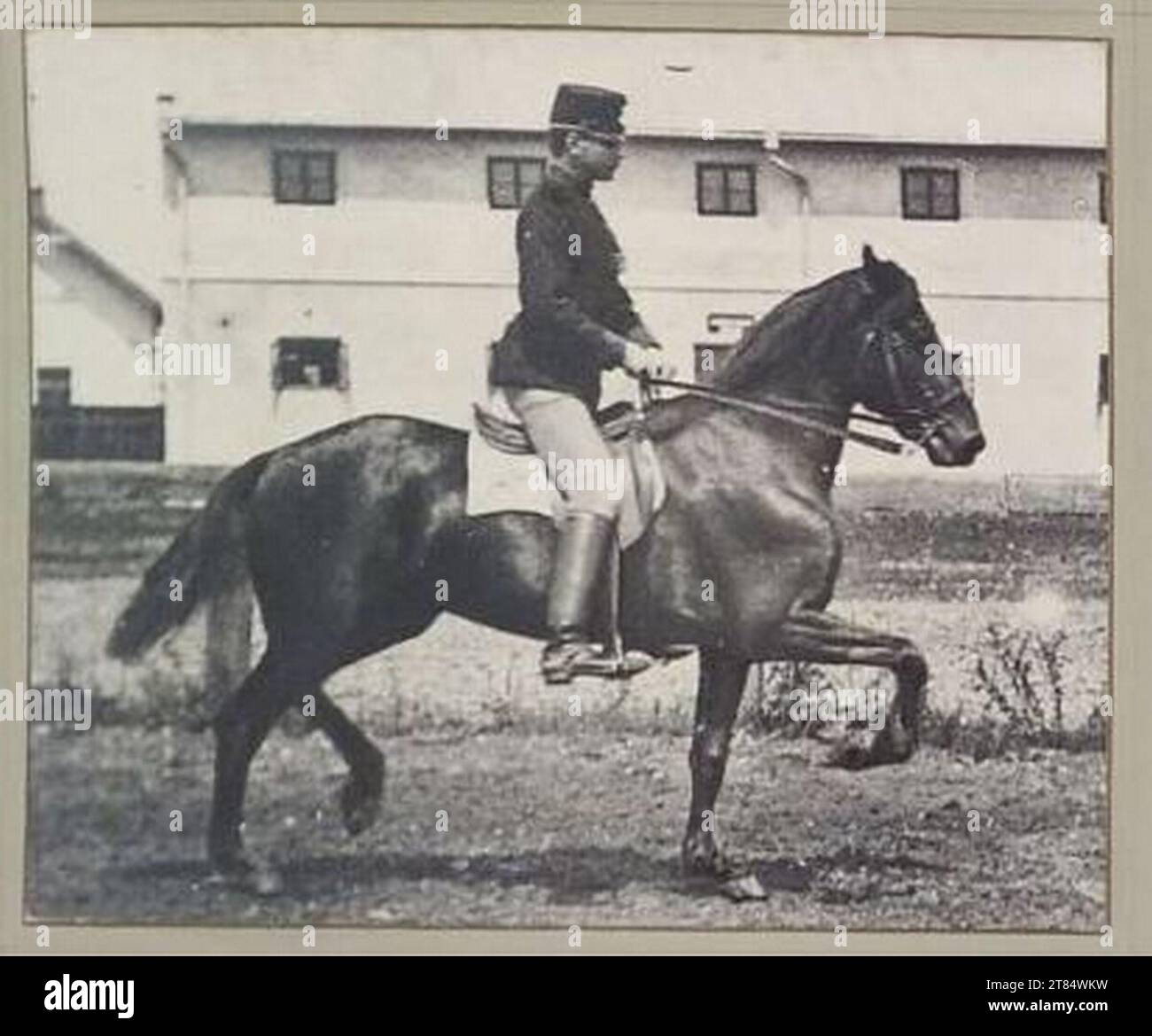Ludwig David Wait pictures from the riding school - the gaits of the ...