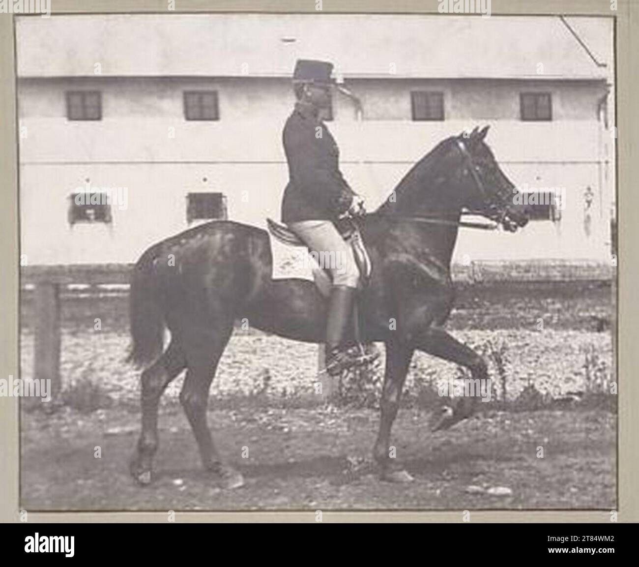 Ludwig David Moment pictures from the riding school - the gaits of the ...