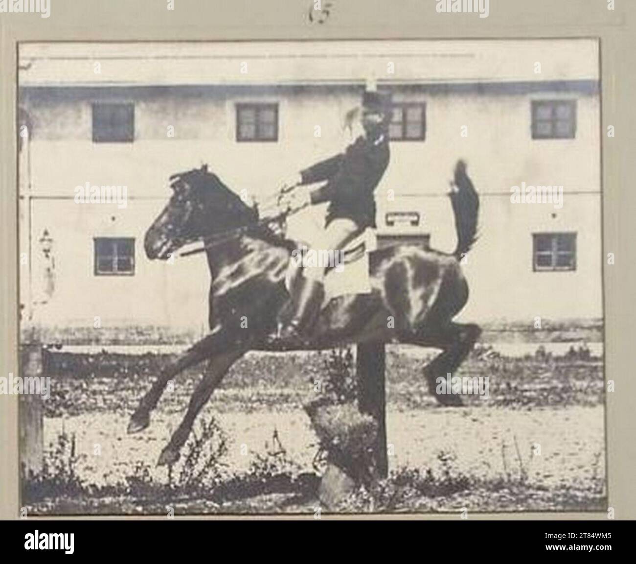 Ludwig David Moment pictures from the riding school - the gaits of the horse: the hurdle leap ...