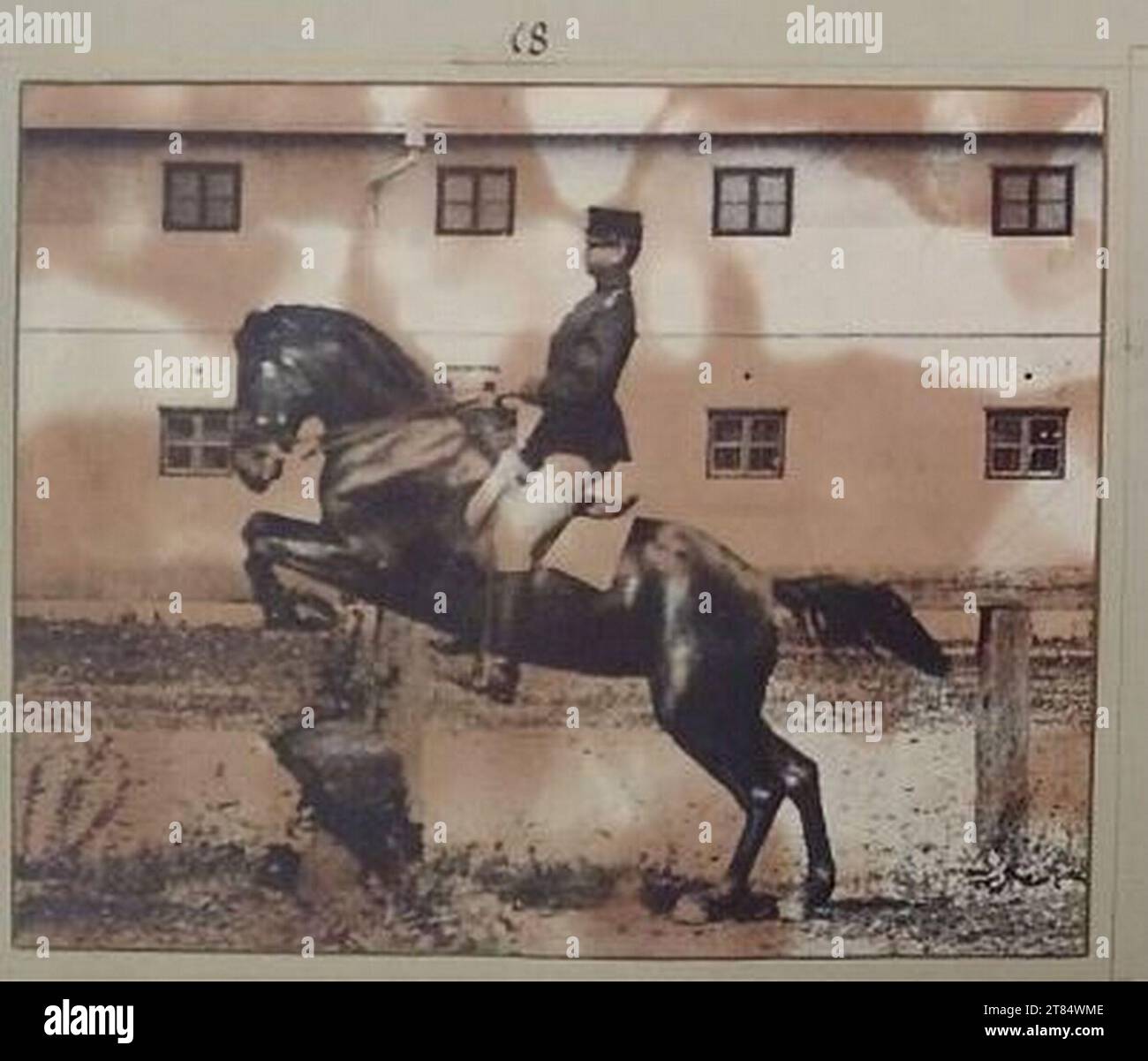 Ludwig David Moment pictures from the riding school - the gaits of the ...
