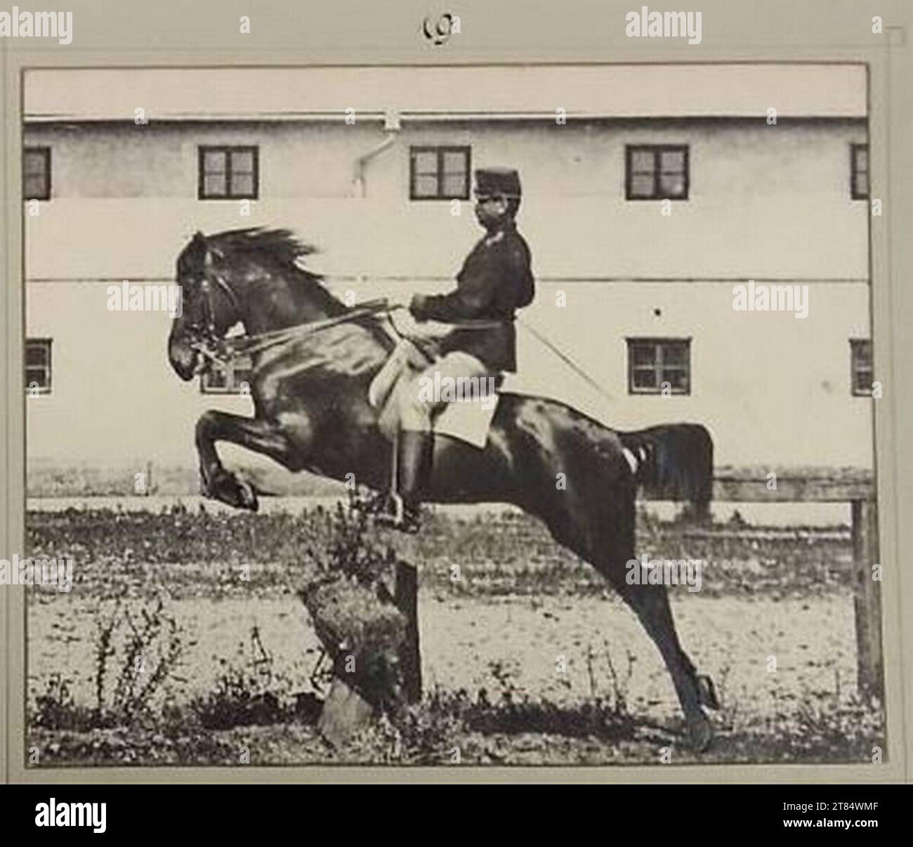 Ludwig David Moment pictures from the riding school - the gaits of the ...