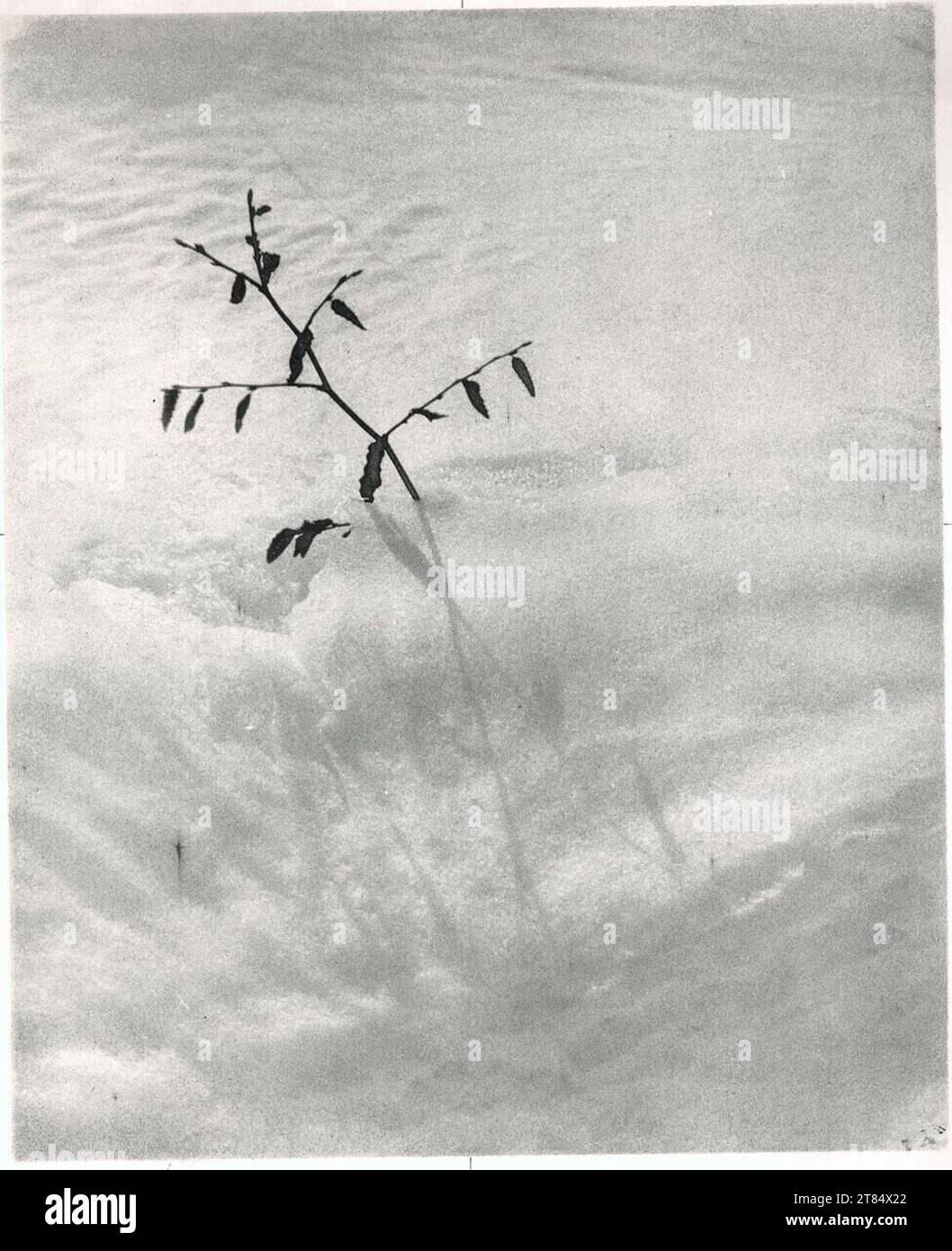 Rudolf Koppitz Snow. Bromöldruck around 1930 Stock Photo - Alamy