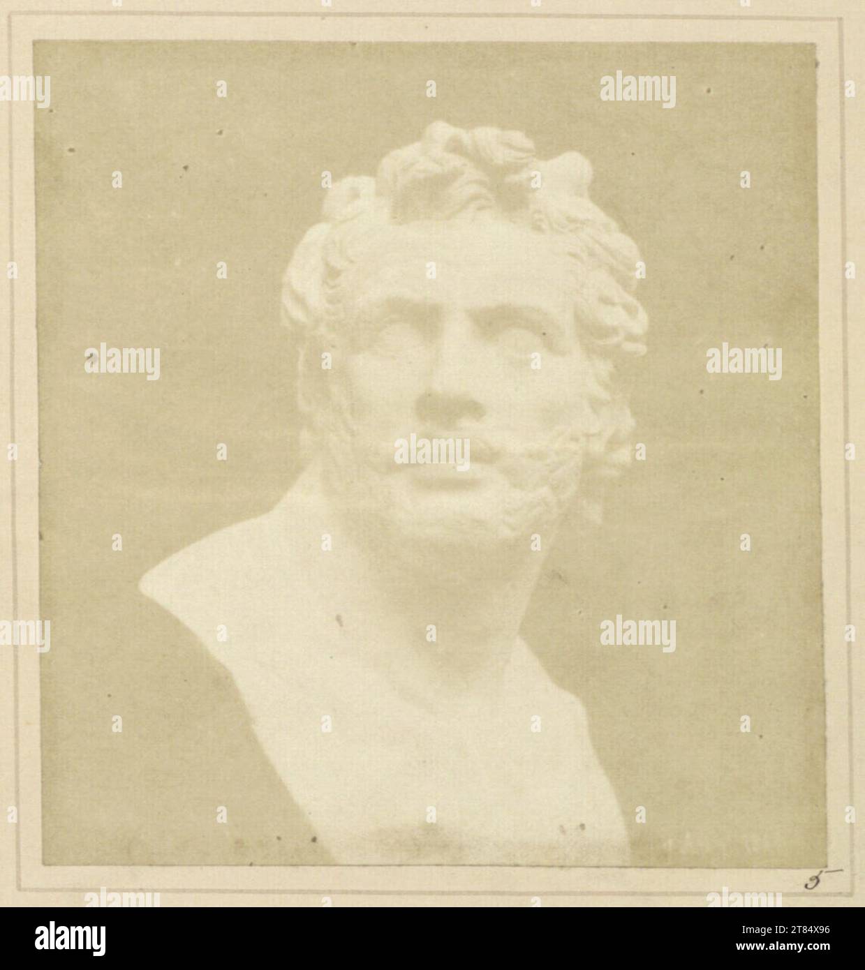 William Henry Fox Talbot The Pencil of Nature V: Bust of Patroclus ...