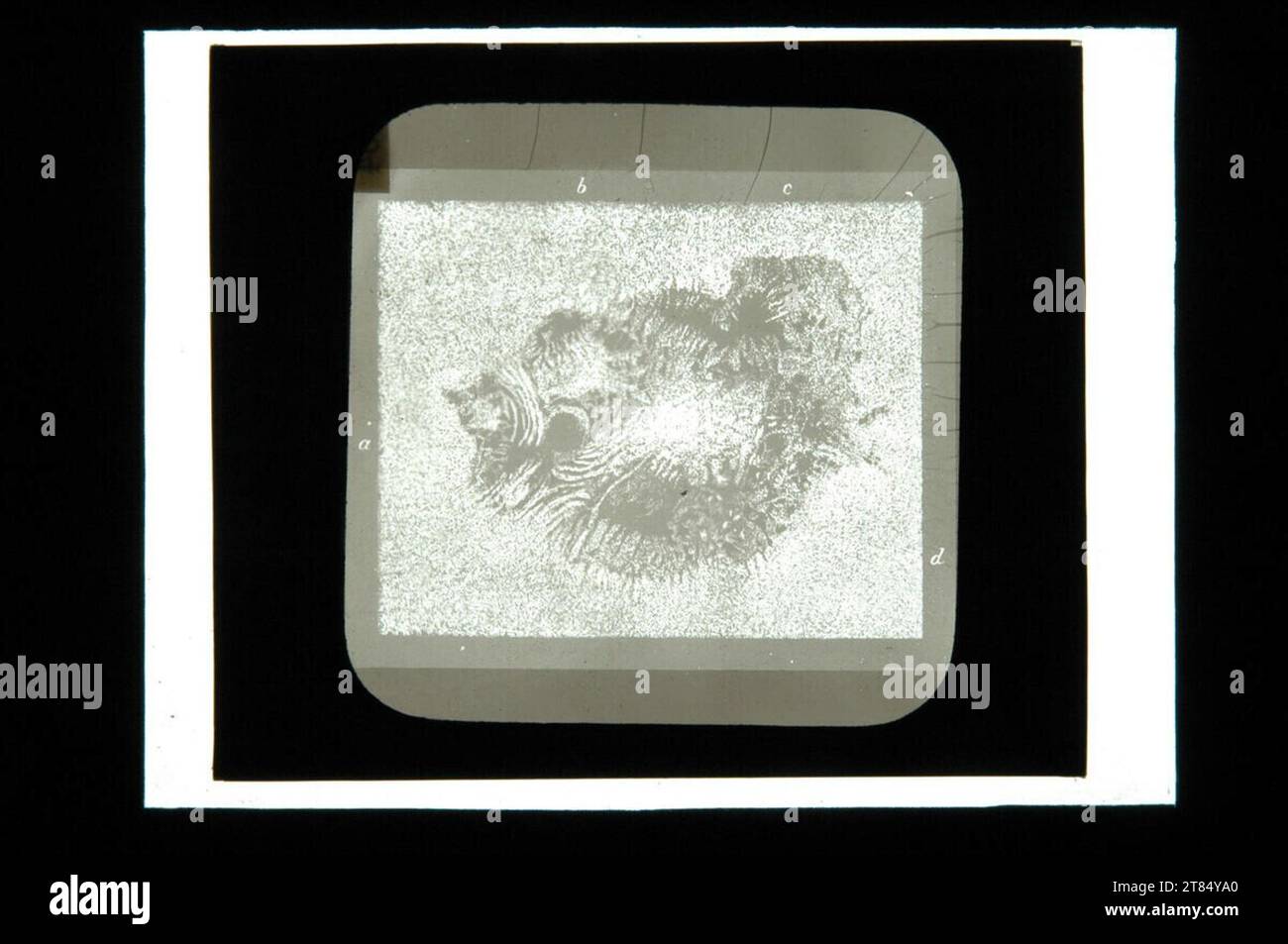 Bruno Meyer Sun spot. Glass diapositive Stock Photo - Alamy