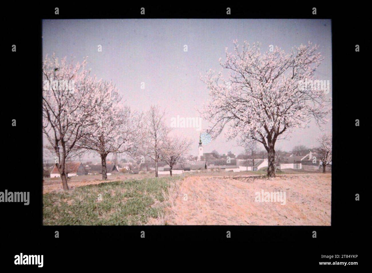 Karl Prokop View of a village. Autochrom 1907-1914 , 1907/1914 Stock ...