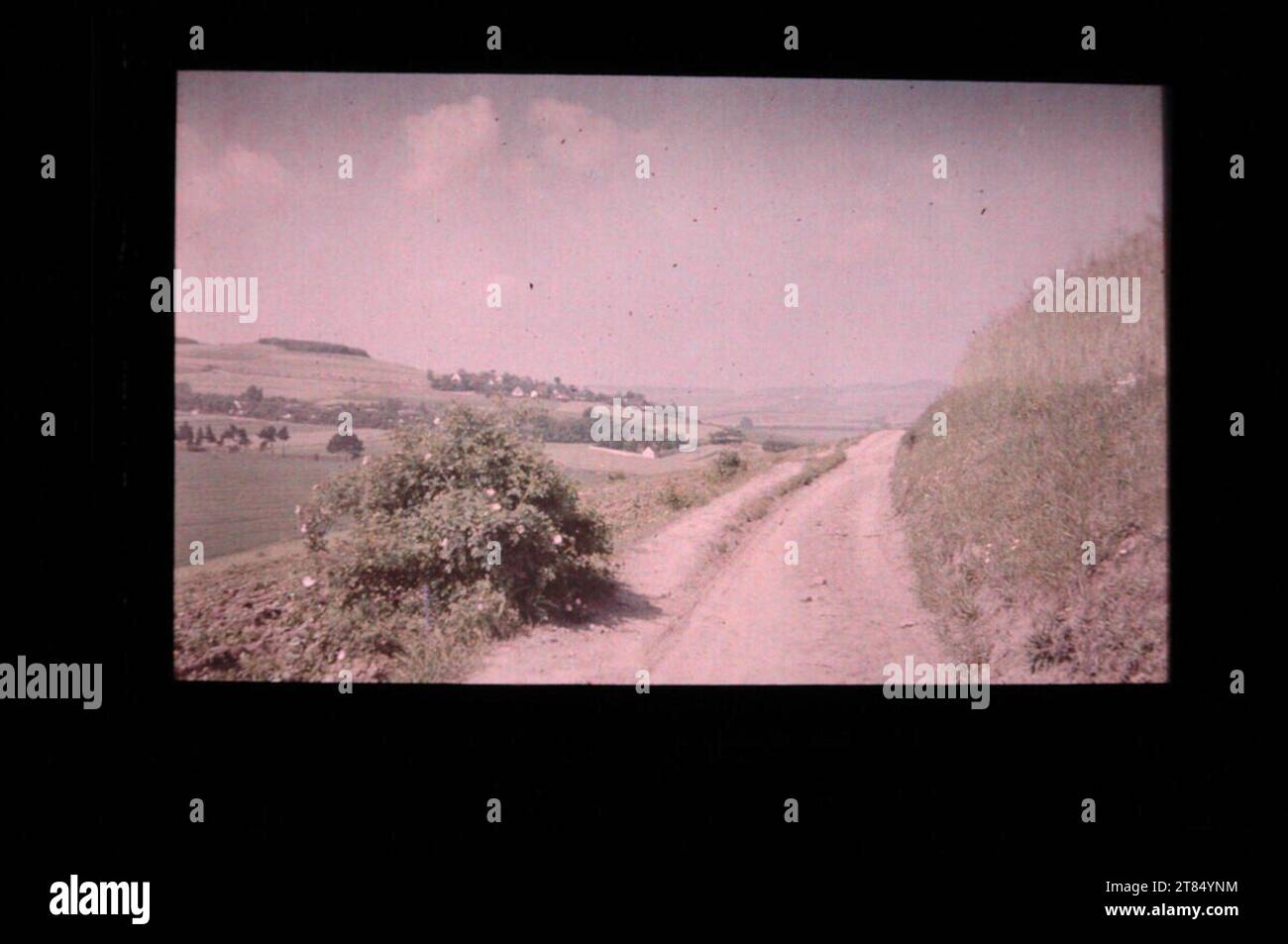 Karl Prokop Landscape with country road. Autochrom 1907-1914 , 1907/ ...