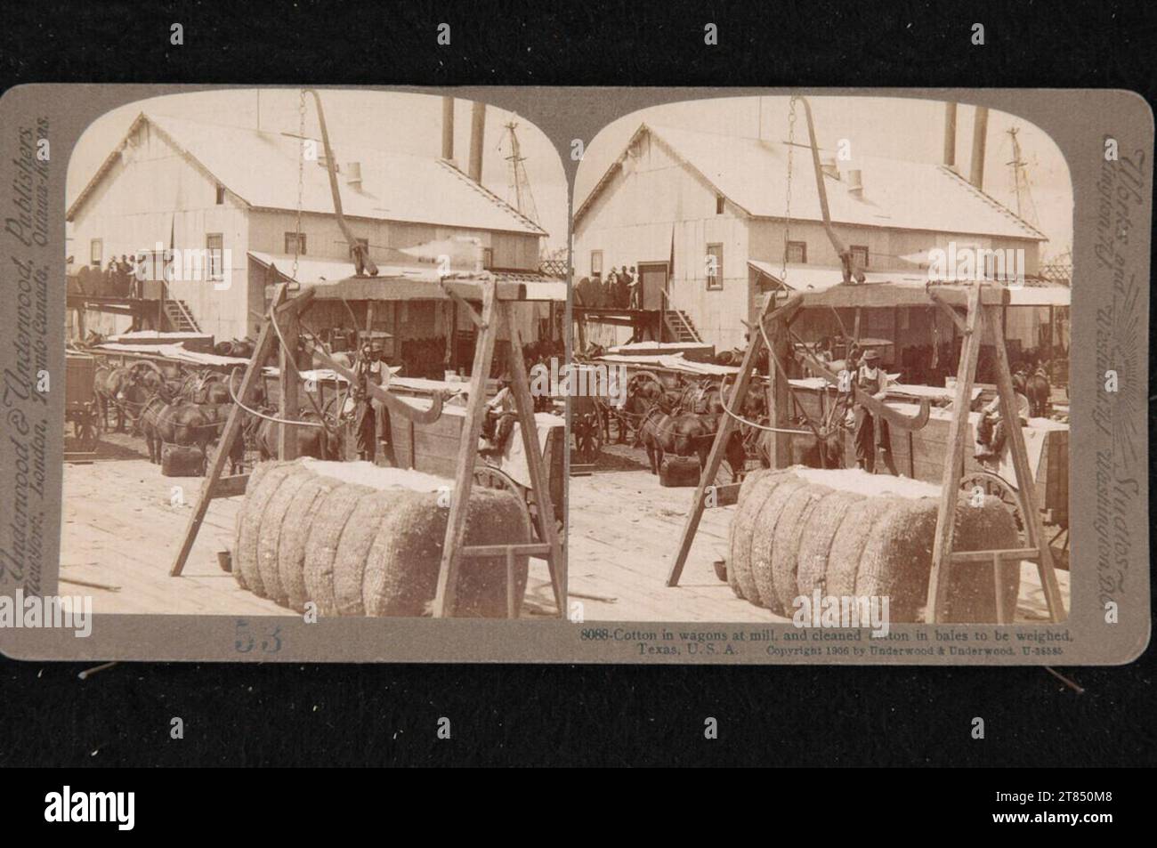 Underwood & Underwood Cotton in weighing a mill, clean cotton in bale ...