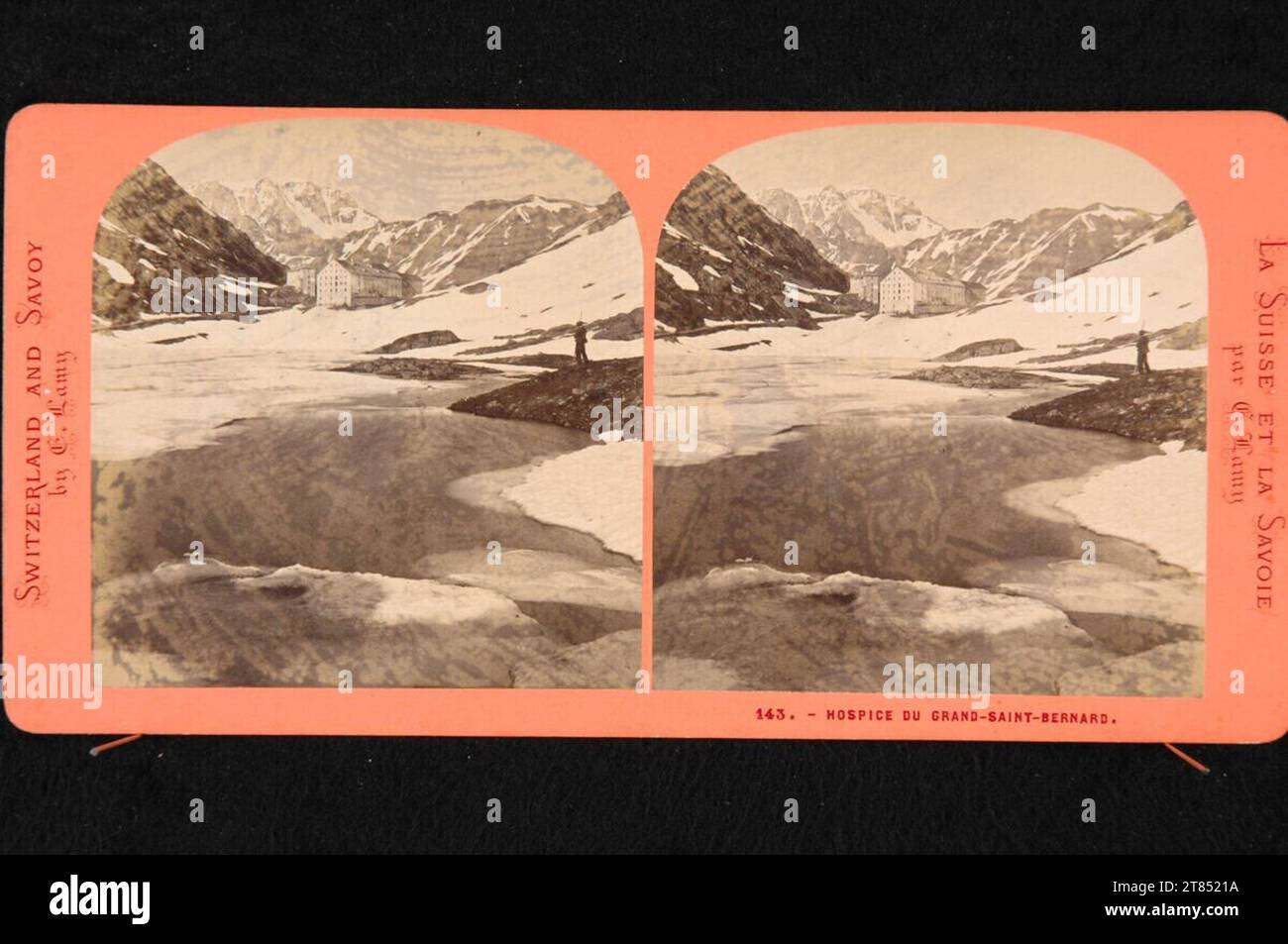 Pierre Eleonor Ernest Lamy Grosser St. Bernhard. Albumin paper, on the ...