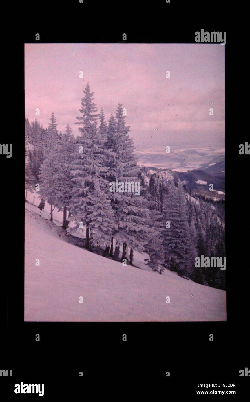 Joseph von Rheden Snaps. Autochrom ca. 1916-1926 , 1916/1926 Stock ...