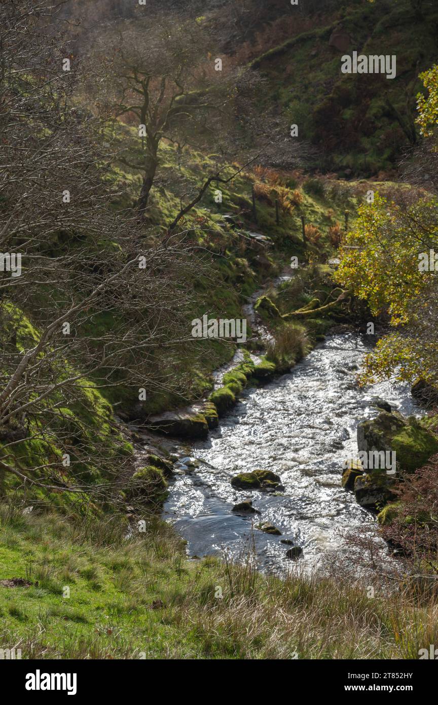 Boundary marker stone, Afon Caerfanell in the Blaen y Glyn gorge ...
