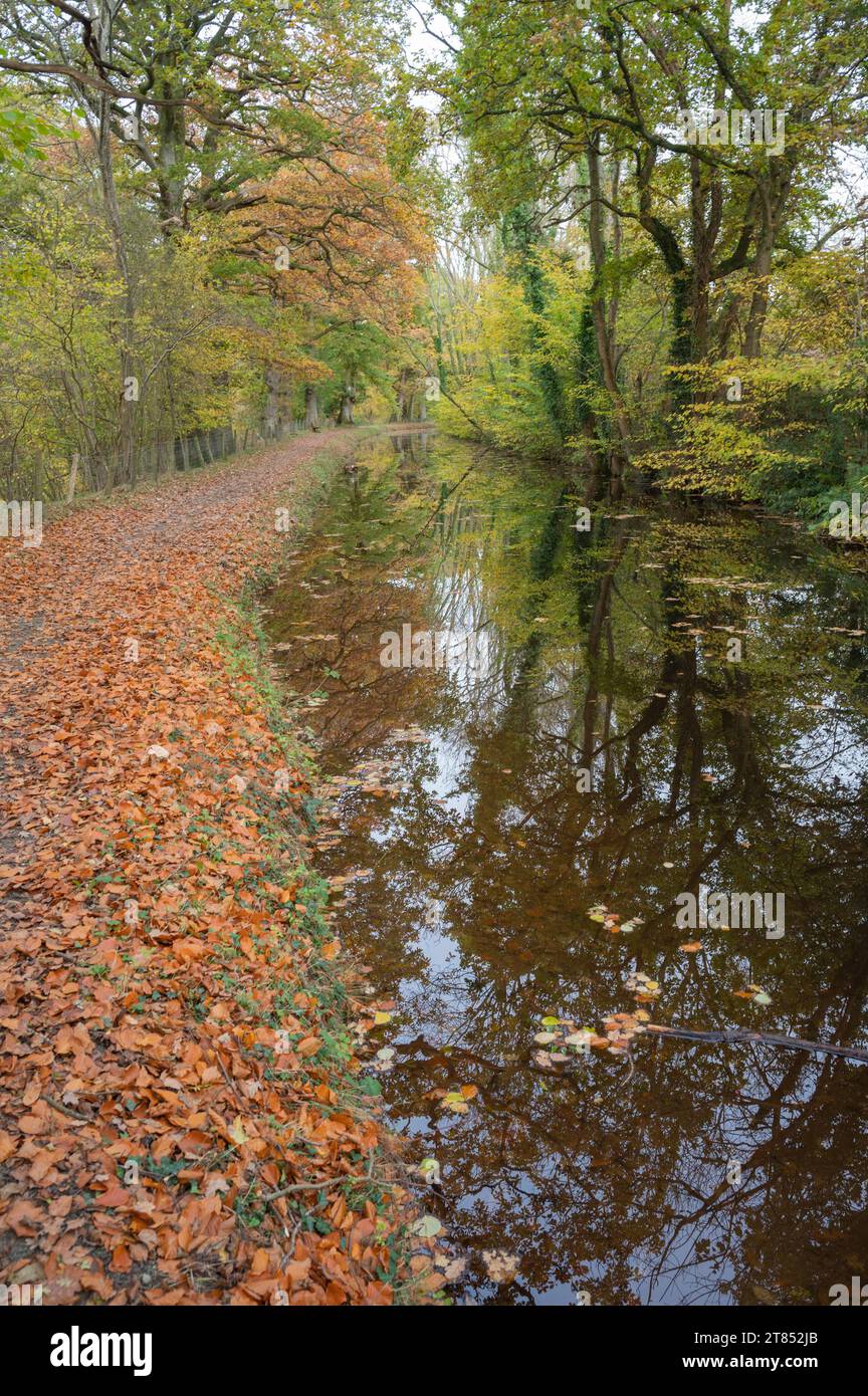 Usk valley llangynidr canal hi-res stock photography and images - Alamy
