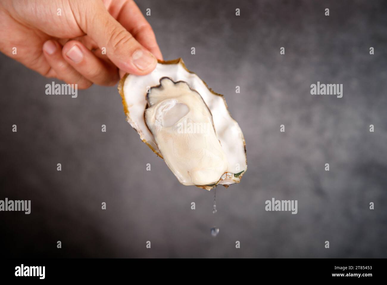 very fresh steamed oysters in shell Stock Photo - Alamy