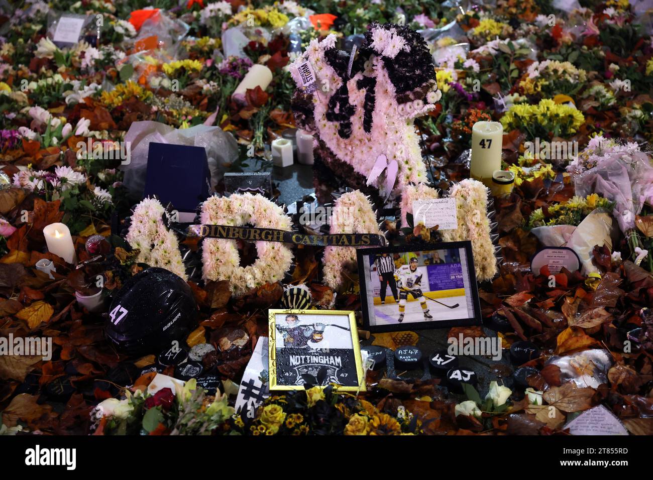 Adam johnson nottingham panthers hi-res stock photography and images ...