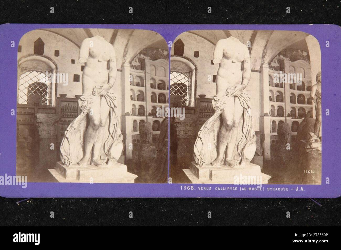 Venus callipyge statue hi-res stock photography and images - Alamy