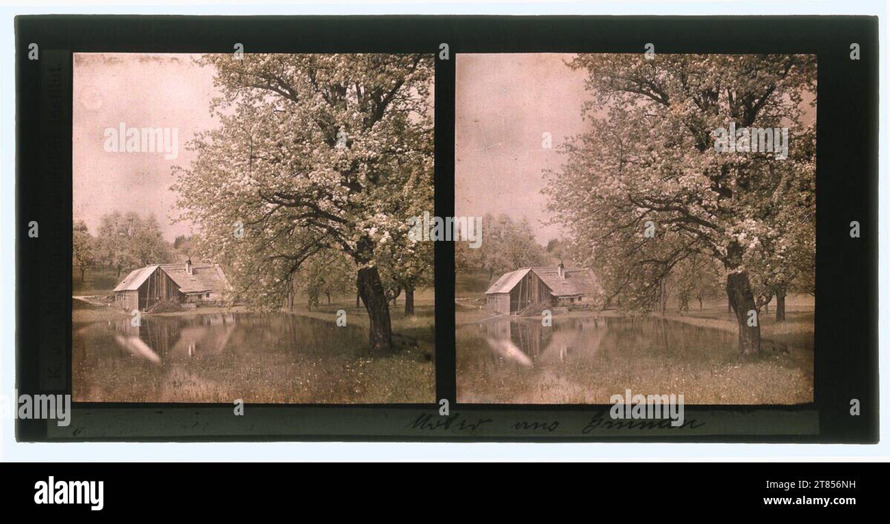 Georg Winter Motif from Grünau. Autochrom / Stereoformat, Aussilberung ...