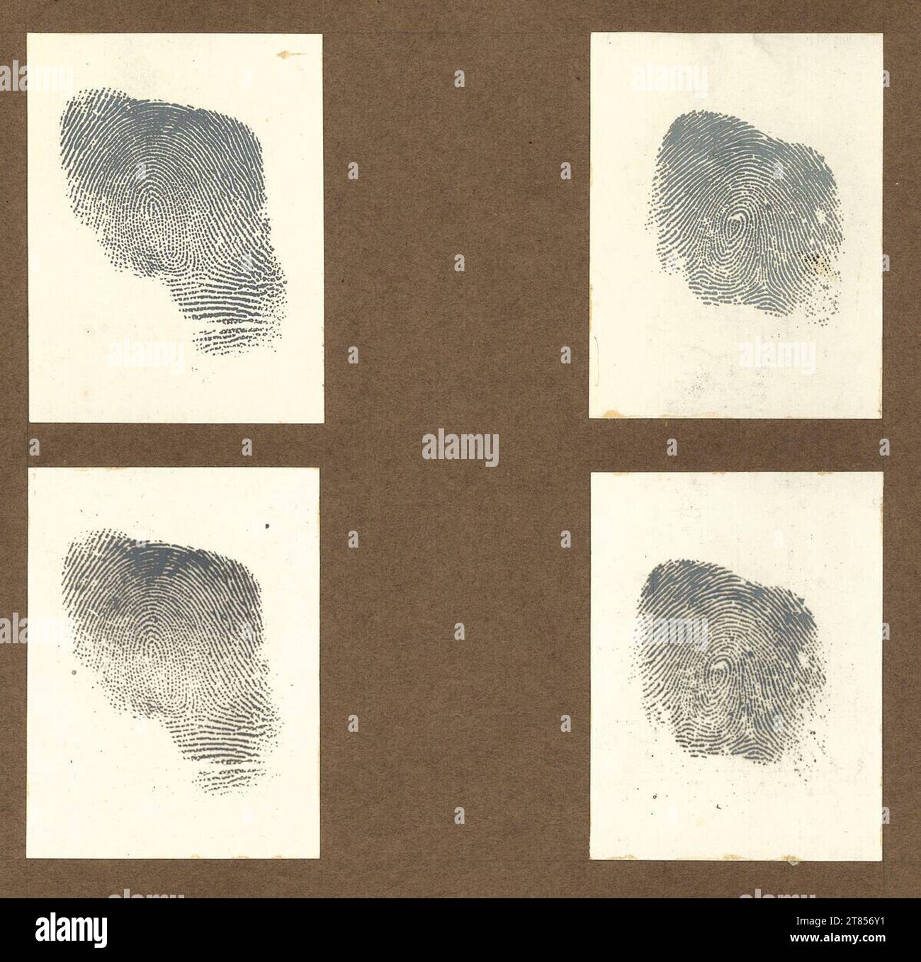 Albert Londe Phototelegraphy, fingerprints. Silver gelatin paper, on ...