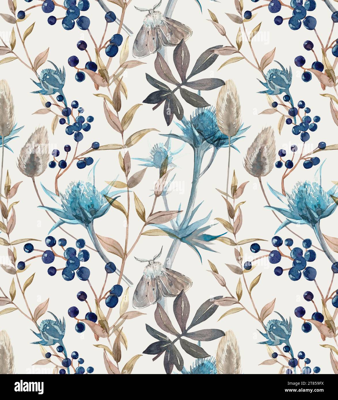 Background with illustrations of dried flowers. Pattern of eryngium ...