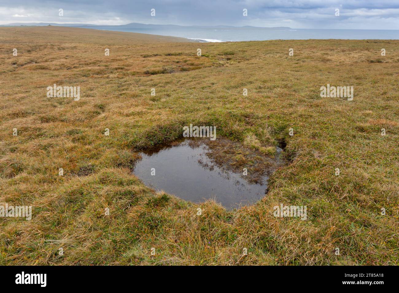 Shell holes on Papa Westray, Orkney, made by British artillery practice ...
