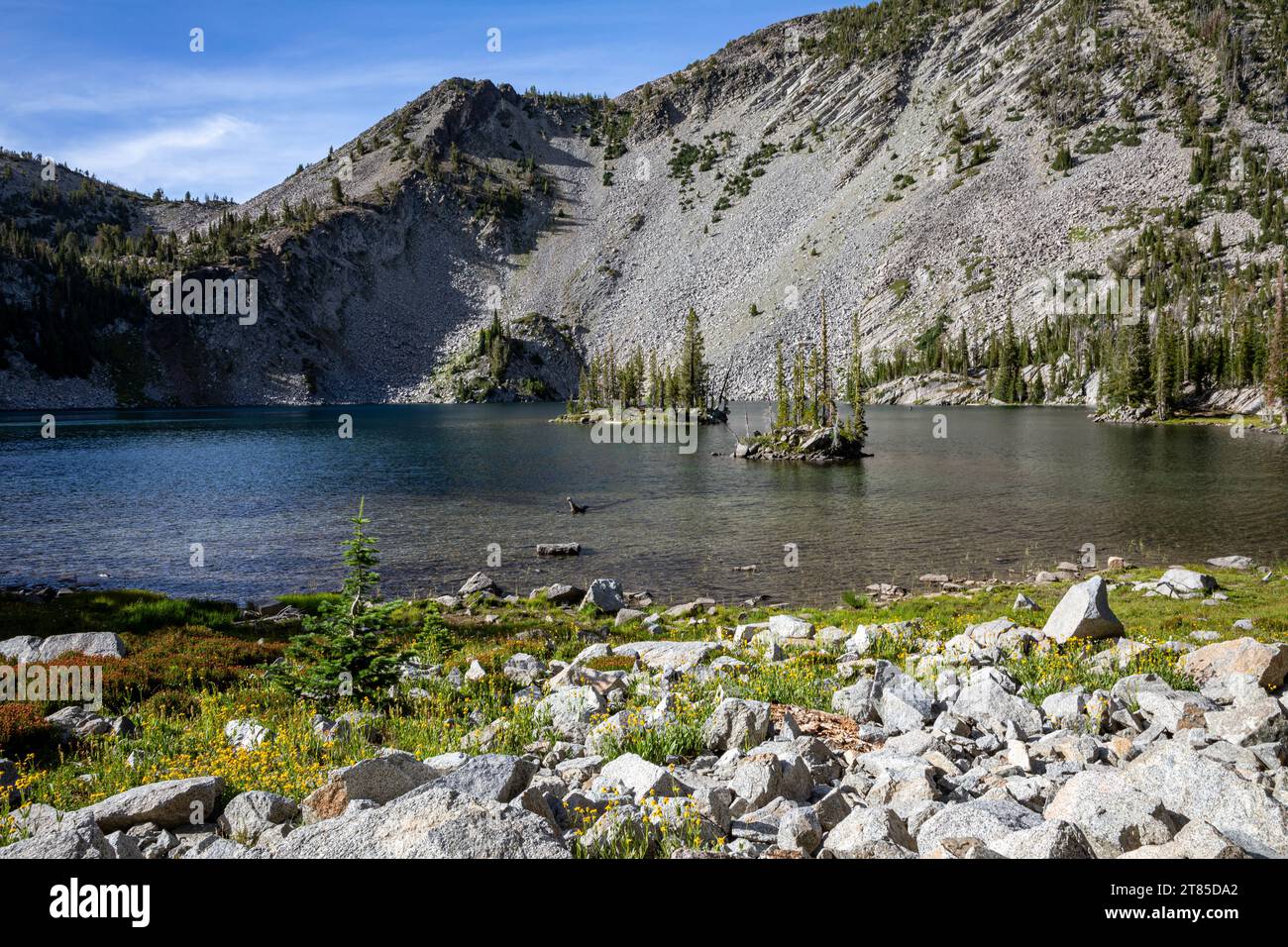 Chimney cap hi-res stock photography and images - Alamy