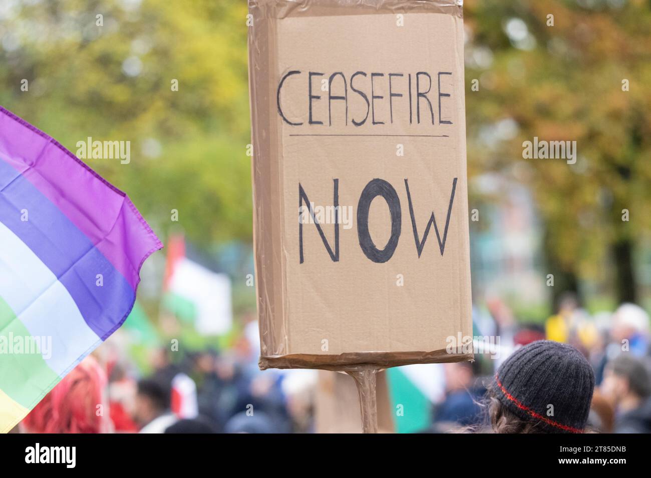 Ceasefire now placard hi-res stock photography and images - Alamy