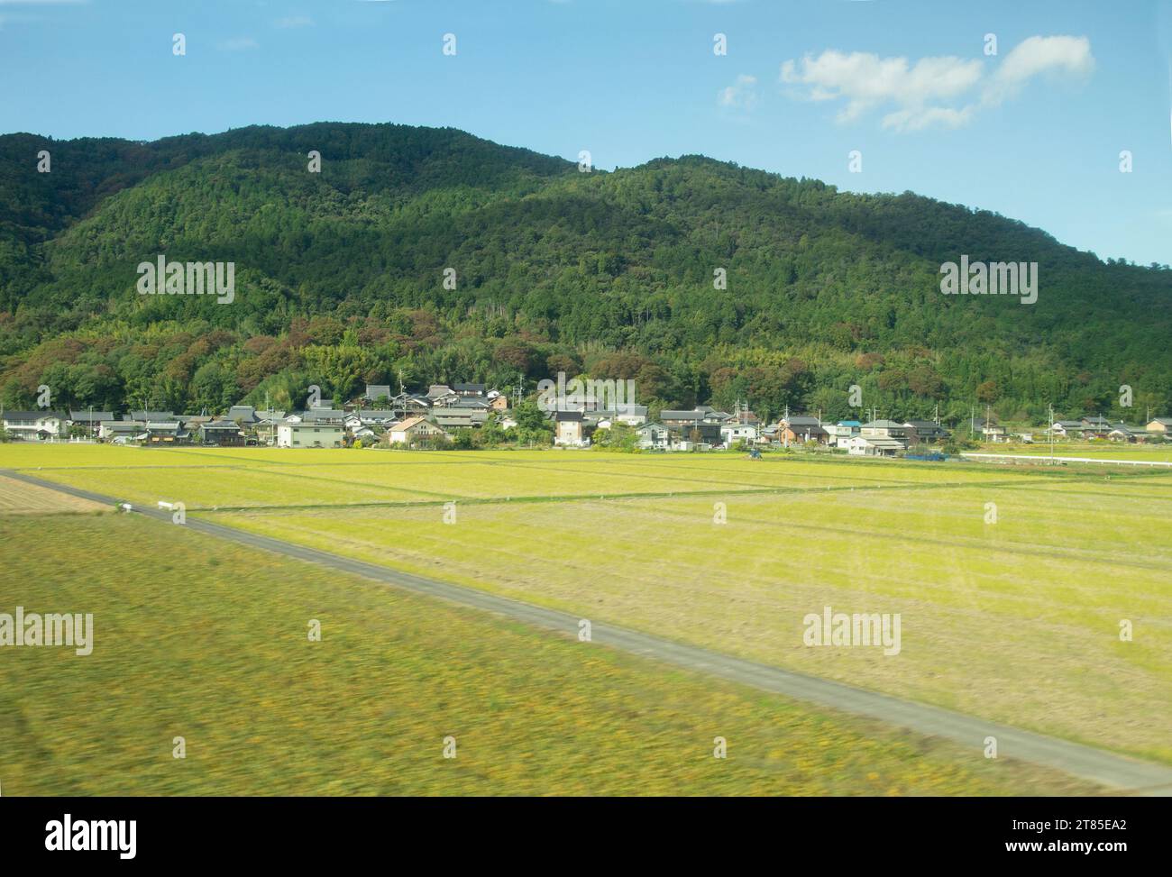Japan in autumn from the Shinkansen train from Kyoto to Tokyo Stock ...