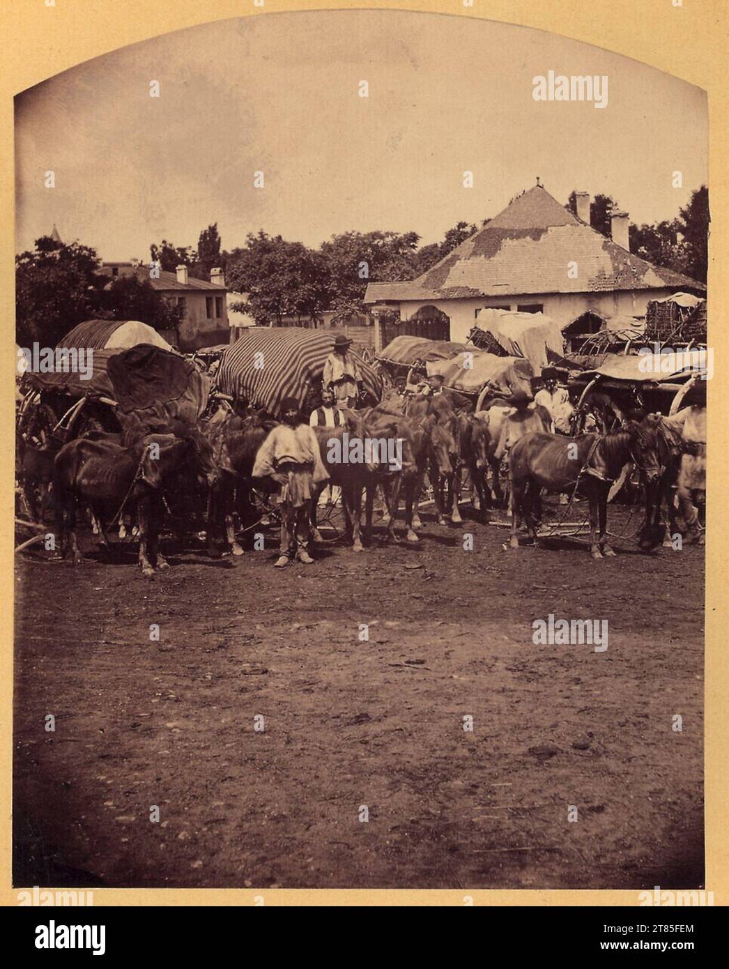 Carol popp szathmari hi-res stock photography and images - Alamy