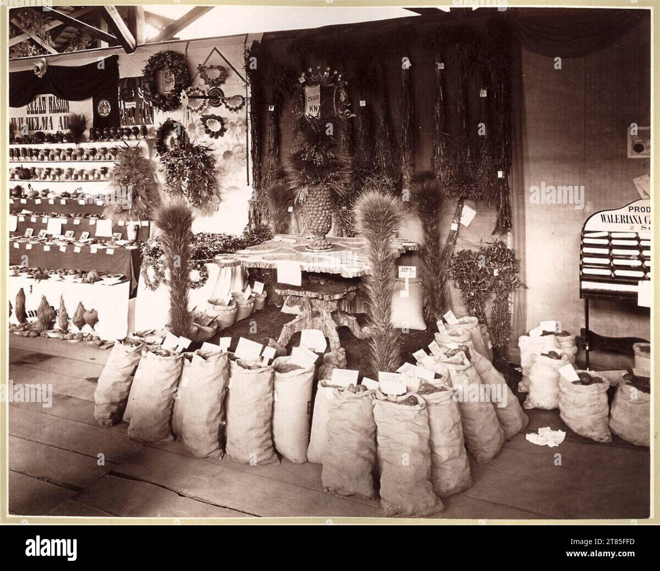 Edward Trzemeski Exhibition Lemberg 1877: Stand with crops. Albumin ...