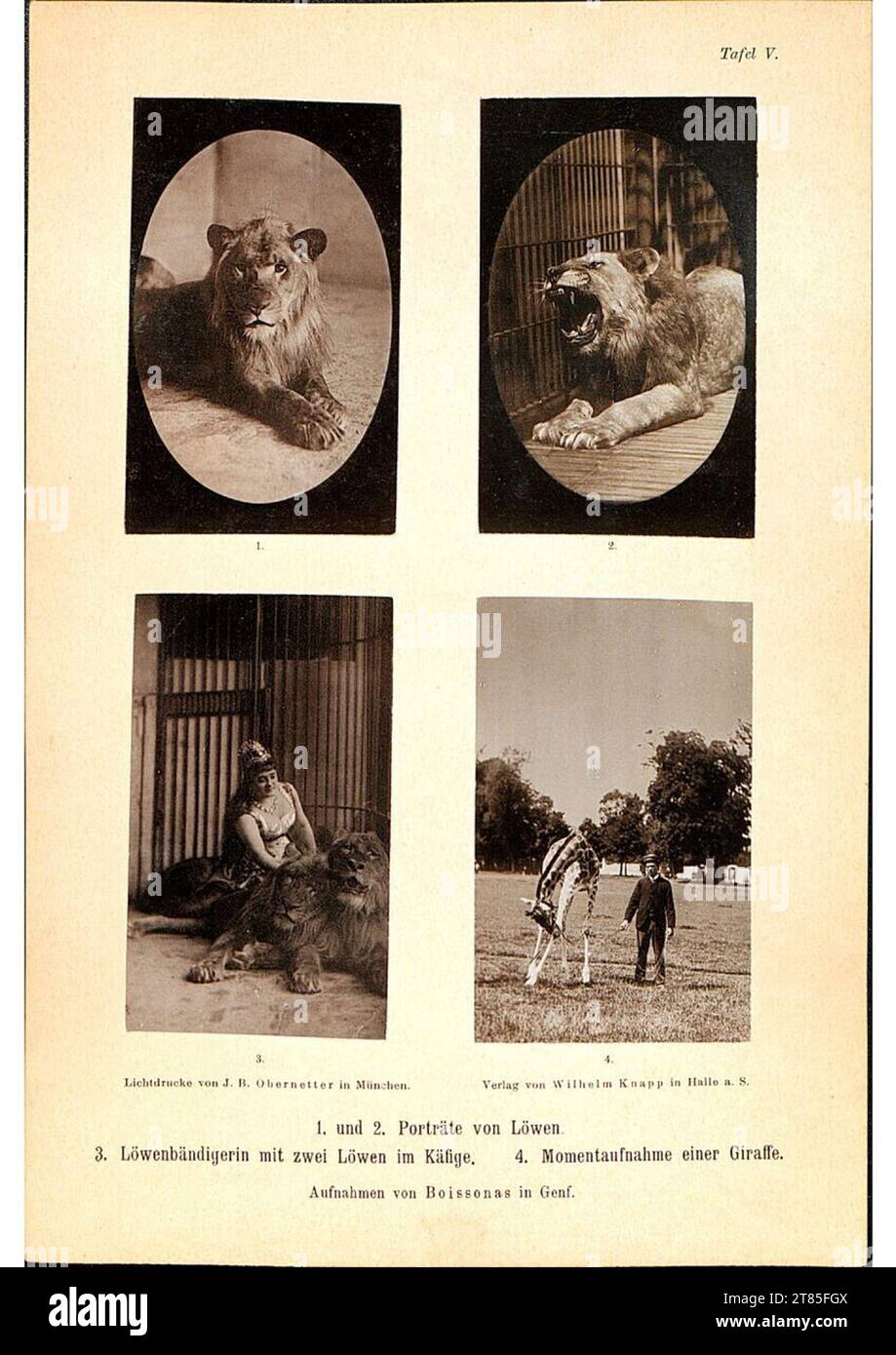 Johann Baptist Obernetter Plate V. - 1st and 2nd portals of Löwen, 3rd ...