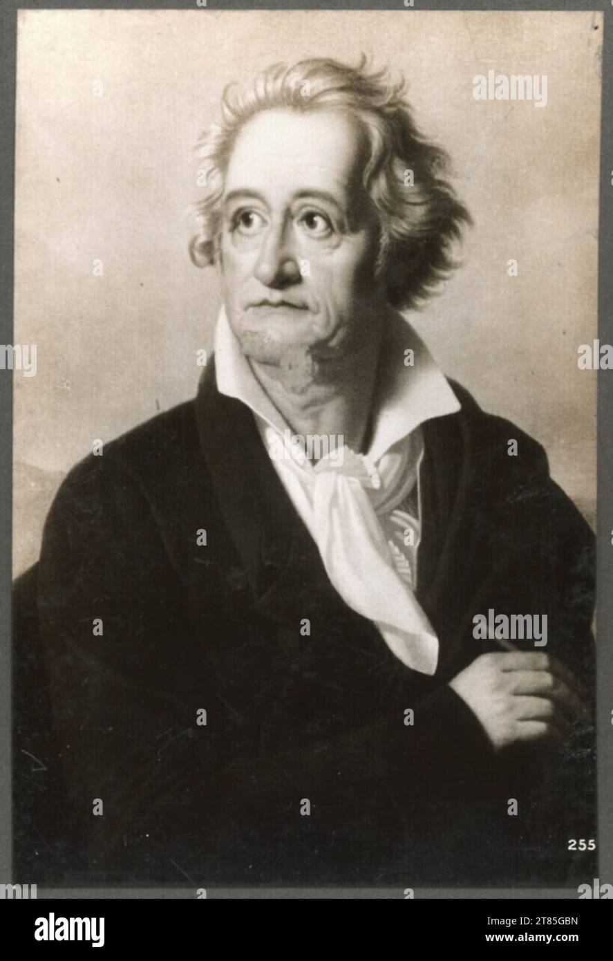 Wilhelm Dreesen Johann Wolfgang Goethe. Silver gelatin paper, on the ...