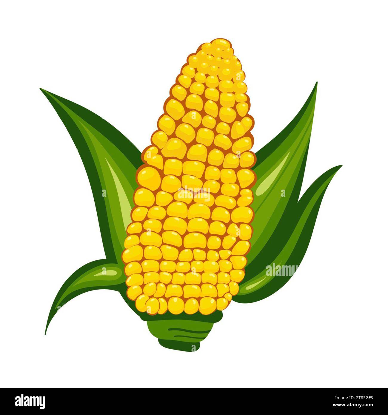 illustration of corn cob harvest kwanza on a white background Stock ...