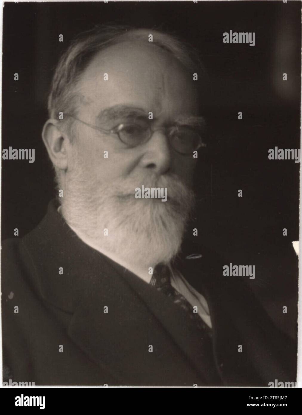 Josef Löwy Josef Maria Eder. Papier-Positive around 1900 Stock Photo ...