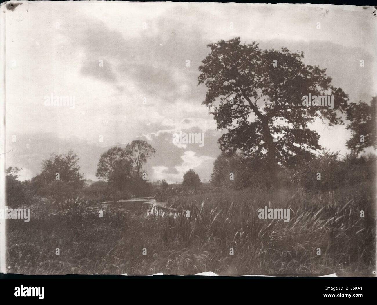 Ludwig David Au landscape. Platinum Print after 1895 Stock Photo - Alamy