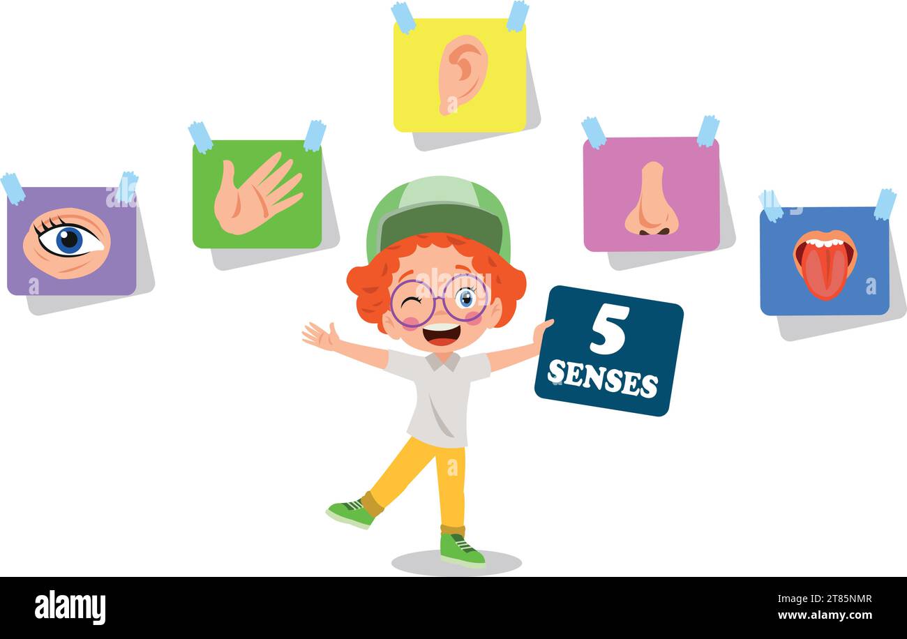 Five Senses Concept With Human Organs Stock Vector Image & Art - Alamy