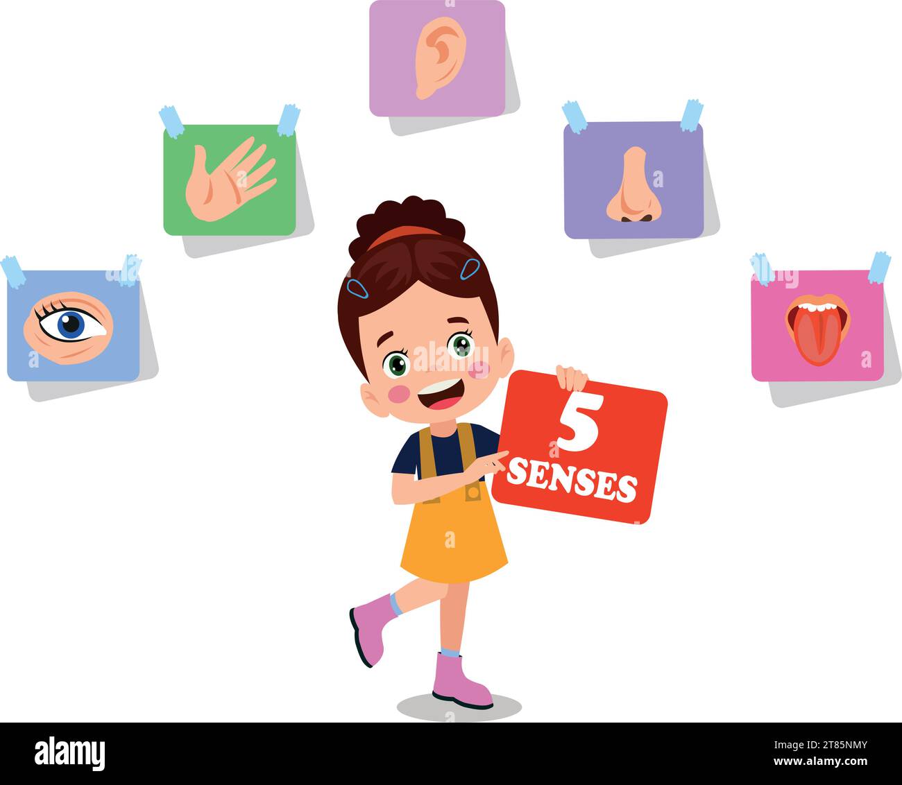 Five Senses Concept With Human Organs Stock Vector Image & Art - Alamy