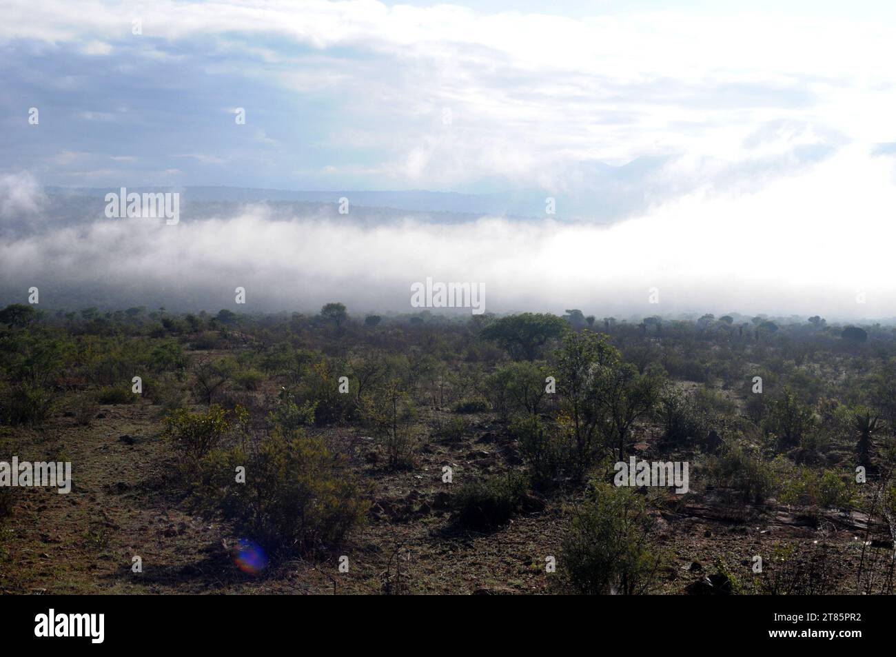 As the world battles climate change mist covers Maja village on the ...