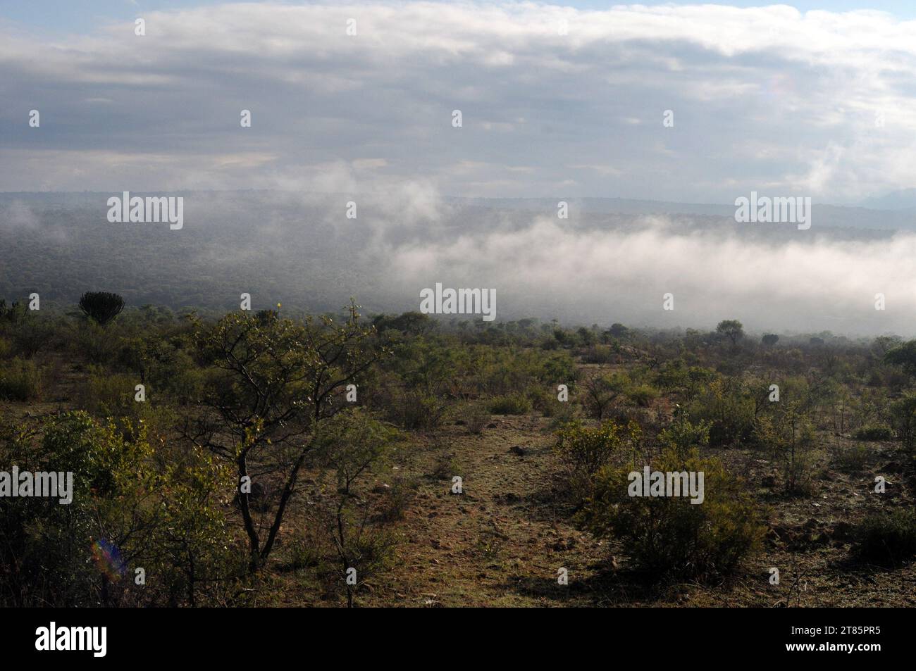 As the world battles climate change mist covers Maja village on the ...
